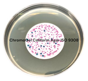 ChromoGel™ Coliform Agar (CCA) ISO 9308 (TDS) - ALPHACHEM