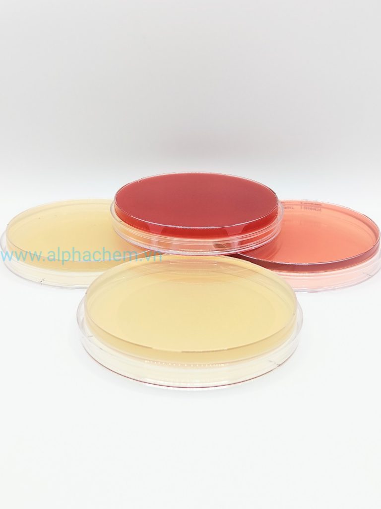 Mueller Hinton Agar with Sheep Blood 90mm-MHAS90 (TDS) - ALPHACHEM